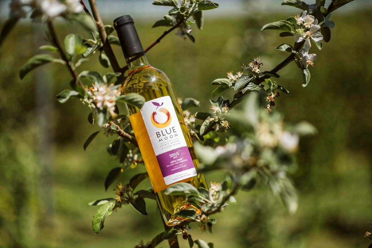 Blue Moon Still Cider Series – Raven's Moon Estate Winery & Cider Worx