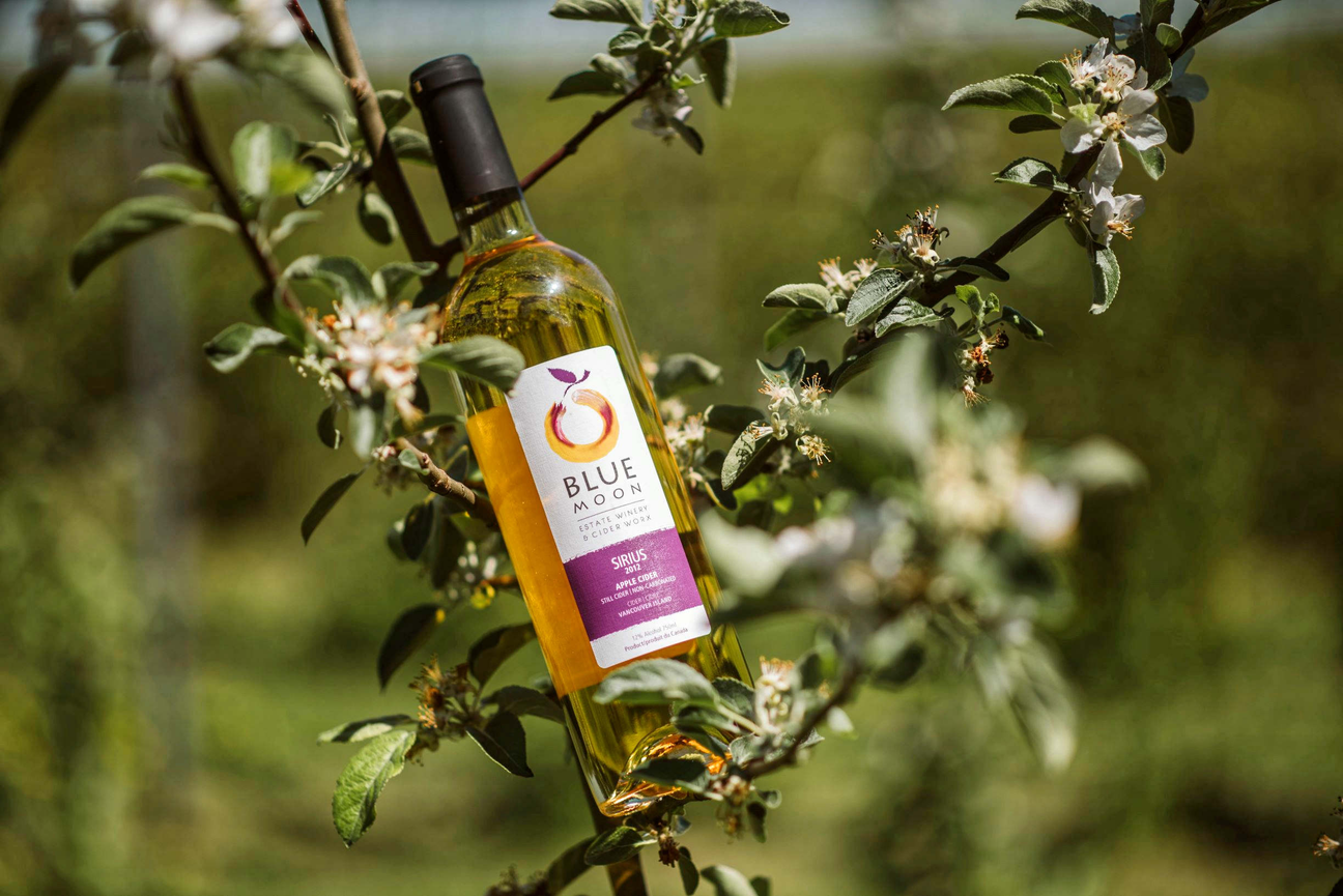 Blue Moon Still Cider Series – Raven's Moon Estate Winery & Cider Worx
